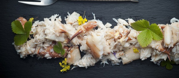 Favis - FOODLOVER magazine