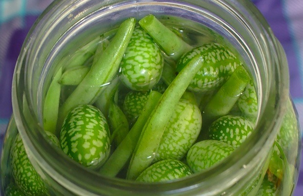 Pickle - FOODLOVER magazine